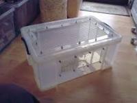 China Little Pet Transport High Quality Solid PETG Box Mini Portable Takeout Hamster Cage for sale