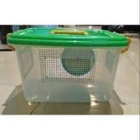 China Little Pet Transport High Quality Solid PETG Box Mini Portable Takeout Hamster Cage for sale