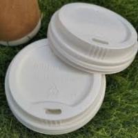 China Biodegradable Plastic Sheet Lid Pla Cover Flat Lids for sale
