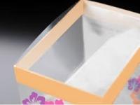China Biodegradable Plastic Sheet Packaging Custom Pattern Printed Natural Product Folding Packaging Box for sale