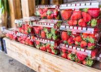 China APET Film Thermoforming APET Film Clear PET Sheet 1mm Rigid For Blistering for sale