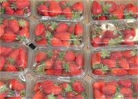 China APET Plastic Sheet Disposable APET Film 0.18mm - 2mm For Fresh Fruit Food Packing Tray for sale