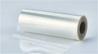 China Food Grade PET Plastic Sheet Roll Clamshell Packaging Cake Tray 2mm for sale