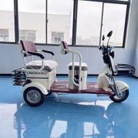 China Dual Purpose Electric Leisure Tricycle 500W Motor 2050x800x1100mm for Passenger & Cargo Transport for sale