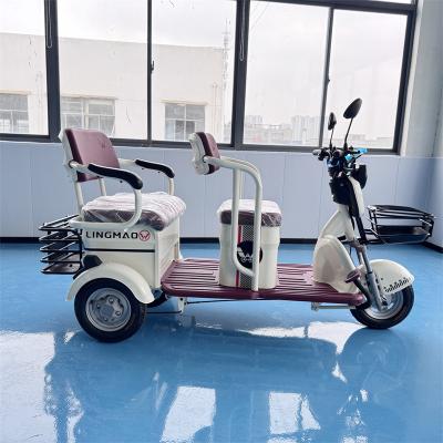 China Dual Purpose Electric Leisure Tricycle 500W Motor 2050x800x1100mm for Passenger & Cargo Transport for sale
