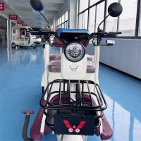 China LINGMAO 2 Seater Electric Tricycle with 500W Sine Wave Motor and 48V/60V/72V Optional Voltage Featuring 27-Tube Hydraulic Fork for sale