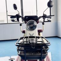 China Xiaohaima Electric Passenger Tricke 500W Motor 1510mm Length Steel Frame 3 Wheel Electric Scooter for sale
