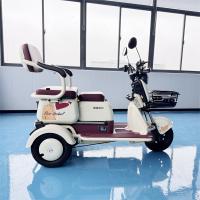China Stylish White-Purple 2-Seater Electric Rickshaw with 500W Sine Wave Motor for Smooth Commuting for sale