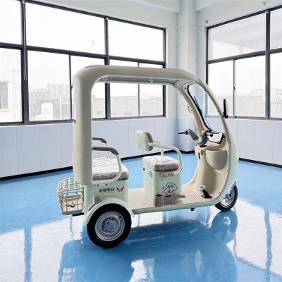 China Enclosed Mobility Tricycle with 800W Sine Wave Driveshaft Motor 300-10 Vacuum Tires and 31-Tube Hydraulic Front Fork for sale