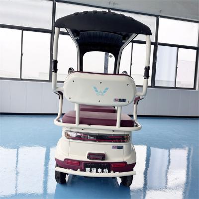 China Enclosed Mobility Tricycle with 800W Sine Wave Driveshaft Motor 31-Tube Hydraulic Front Fork and 300-10 Vacuum Tires for sale