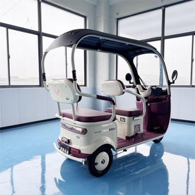 China 800W Sine Wave Motor All-Weather Canopy Electric Tricycle with Hydraulic Suspension for sale