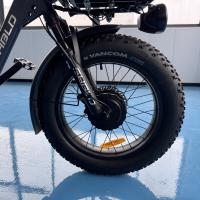 China Blacknight Super Chius All-Terrain Electric Tricycle - High Power Motor with Wide Tires for Industrial and Agricultural Use for sale