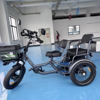 China Blacknight Super Chius All-Terrain Electric Tricycle - High Power Motor with Wide Tires for Industrial and Agricultural Use for sale