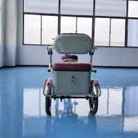 China Sturdy Steel Frame 2-Seater Pedal Tricycle with Customizable Cargo Area - Lightweight Commuter for Urban & Rural Transport for sale