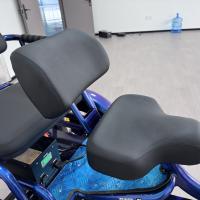 China High Power 2 Seater Electric Trike Rhino with 48V30AH Battery, 100km Range & 500W/1000W Motor for sale
