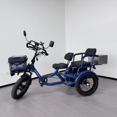 China High Power 2 Seater Electric Trike with 100km Range and 48V30AH Battery - 500W/1000W Motor Power for sale