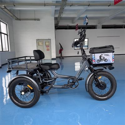 China Lightweight Electric Tricycle with 100km Driving Range Four Riding Assistance Modes and 9-Gear LCD Smart Panel for sale