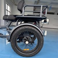 China Xiniuwang Off-Road Electric Bike 2200mm Single Seater with 2000W Dual Motor and 48V Battery Options for sale