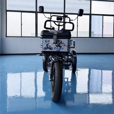 China Xiniuwang Urban Edition Single Seater Electric Three-Wheeler Bike with 1500W Dual Motor, 150km Range, and 48V50AH/100AH Battery Options for sale