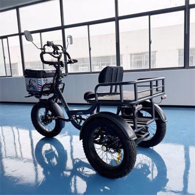 China Rhino King Urban Edition Electric Tricycle with 150km Range and 48V50AH Battery - Two-Person Cargo E-Trike for sale