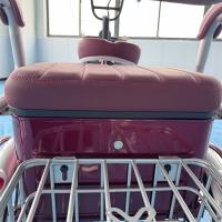 China Stable Electric Tricycle for Seniors with 3-Wheel Design and ISO9001 Certification - Easy Operation Mobility Scooter for sale