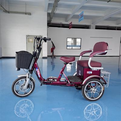 China 30-50km Range 2-Seater Electric Trike with Dual Shock Absorption System and Steel Frame Construction for sale