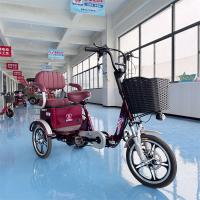 China Stable Electric Tricycle for Seniors with 3-Wheel Design and ISO9001 Certification - Easy Operation Mobility Scooter for sale
