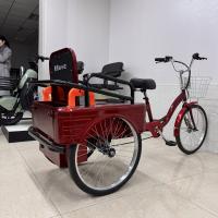 China Family Leisure 3 Wheel Pedal Trike with Child Seat & Cargo Carrier - 1 Adult + 1 Child Capacity with Puncture-Resistant Tires for sale