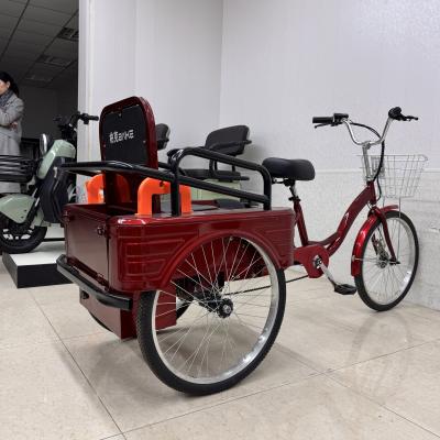 China Family Leisure 3 Wheel Pedal Trike with Child Seat & Cargo Carrier - 1 Adult + 1 Child Capacity with Puncture-Resistant Tires for sale