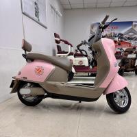 China Pink & Beige Retro Electric Tricycle with 650W Hub Motor, 30-40 km Range, and Durable Steel Frame for Stylish Commuting for sale