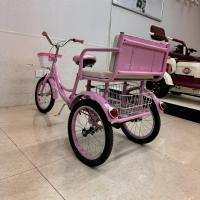 China Pink Parent-Child Two-Seater Pedal Tricycle with Dual Storage Baskets for Family Leisure Riding for sale