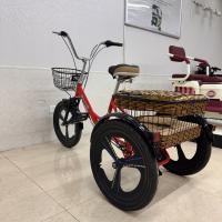 China 38kg Steel Frame Pedal Tricycle with 50kg Rear Basket Capacity for Short-Distance Transport and Shopping for sale