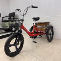 China 38kg Steel Frame Pedal Tricycle with 50kg Rear Basket Capacity for Short-Distance Transport and Shopping for sale