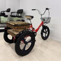 China Adult Cargo Tricycle with High Carbon Steel Frame Shimano 7-Speed Derailleur and 20*3.0 Thick Tires for sale