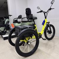 China 3-Wheel Mobility Scooter for Scenic Spots - 48V 500W Motor with 48V 13AH Battery - Lightweight Electric Vehicle for Park Commuting for sale