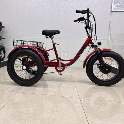China Lightweight Three Wheel Mobility Scooter with 48V 500W Motor and 20-Inch Tires for Urban Commuting for sale