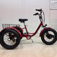 China Electric Leisure 3 Wheel Mobility Scooter with 48V 500W Motor and 20×4.0 Anti-Slip Tires for Adult Outdoor Commuting for sale