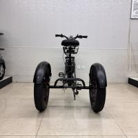 China Customizable Semi-Enclosed Electric Leisure Tricycle with 48V 500W Motor and 20x4.0 Tires for Resort Rental and Commercial Use for sale