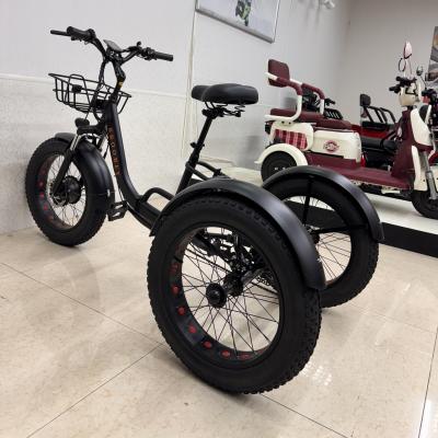 China 48V 12AH Lithium Battery Semi-Open Leisure 3 Wheeler Electric Bike with Shimano 7-Speed for Long Range Commuting for sale