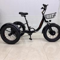 China Adult Single Seat 3 Wheel Electric Mobility Trike with 48V 500W Motor and 20×4.0 Tires for Short Distance Travel for sale