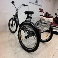 China Family Leisure 3 Wheel Mobility Scooter with 48V 500W Motor and 7-Speed Shimano Derailleur for sale