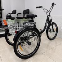 China 48V 500W Electric Tricycle with 24-Inch Tires and 13AH Battery - Lightweight Single-Seat Mobility Scooter for Commuting for sale