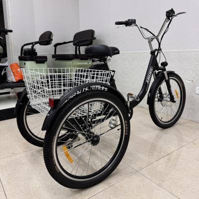 China 48V 500W Electric Tricycle with 24-Inch Tires and 13AH Battery - Lightweight Single-Seat Mobility Scooter for Commuting for sale