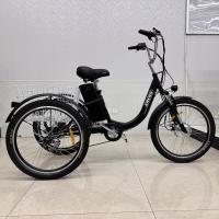 China Family Leisure 3 Wheel Mobility Scooter with 48V 500W Motor and 7-Speed Shimano Derailleur for sale