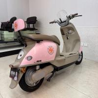 China 2-Wheel Electric Scooter with 650W Hub Motor 30-40km Range and Durable Steel Body for sale