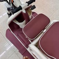 China New Model 3 Wheel Electric Tricycle 2-Seat Comfort Scooter with 30-40km Range for Seniors & Family Trips for sale