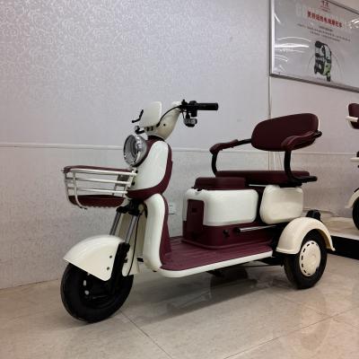 China 2-Seat Three-Wheeled Electric Leisure Tricycle with 500W Motor and 48V/60V Battery System for sale