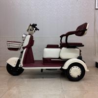 China New Model 3 Wheel Electric Tricycle 2-Seat Comfort Scooter with 30-40km Range for Seniors & Family Trips for sale