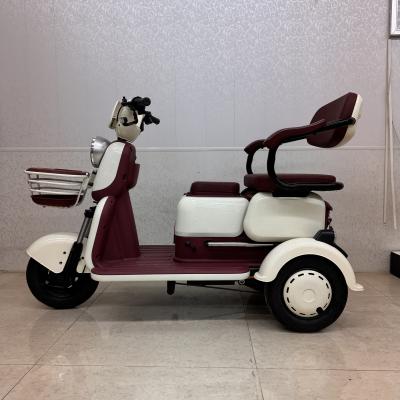 China New Model 3 Wheel Electric Tricycle 2-Seat Comfort Scooter with 30-40km Range for Seniors & Family Trips for sale