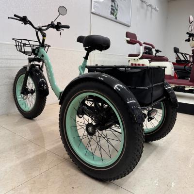China Three Wheeled Electric Tricycle with 500W Motor and 150kg Load Capacity - Adjustable Handlebar & Large Cargo Area for sale